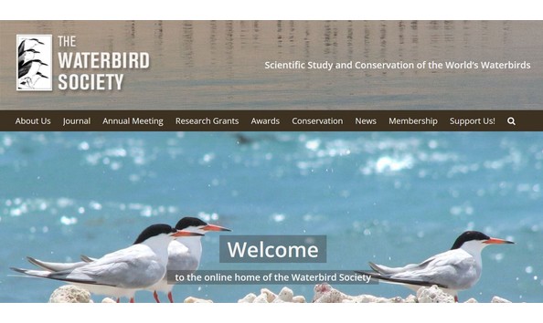 Waterbird Society 2021 Virtual Auction