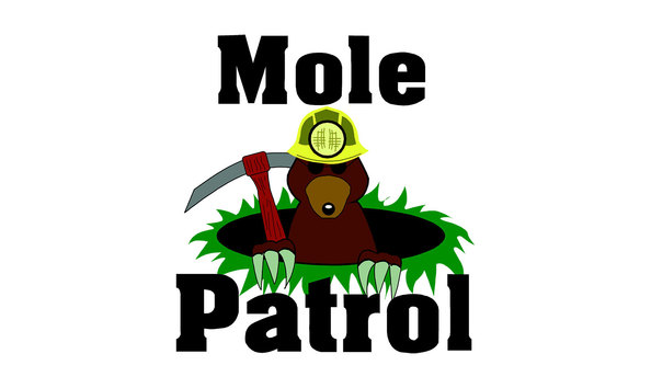 Mole Patrol Service