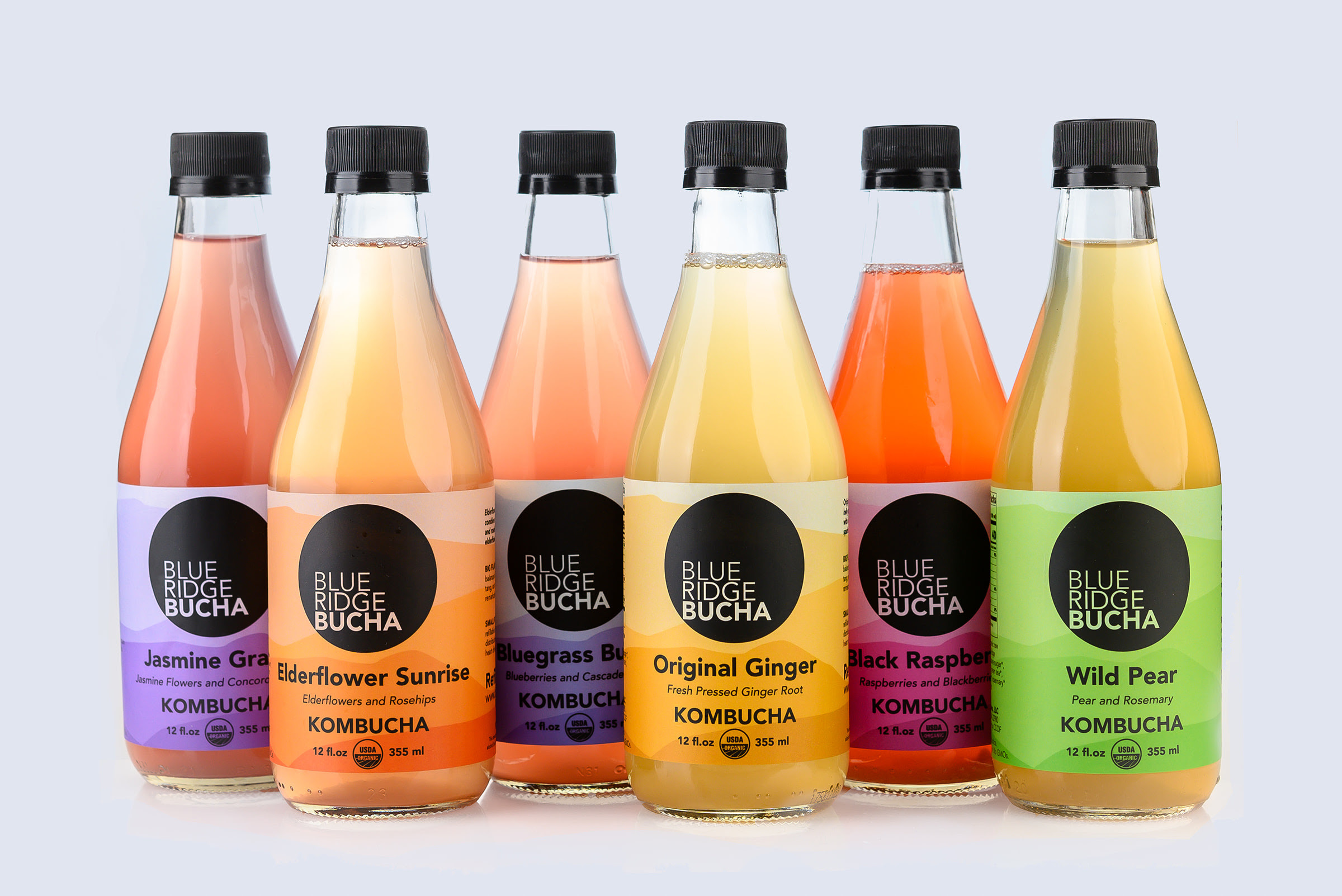 Blue Ridge Bucha Kombucha Package