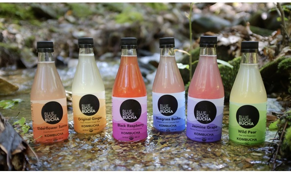 Blue Ridge Bucha Kombucha Package