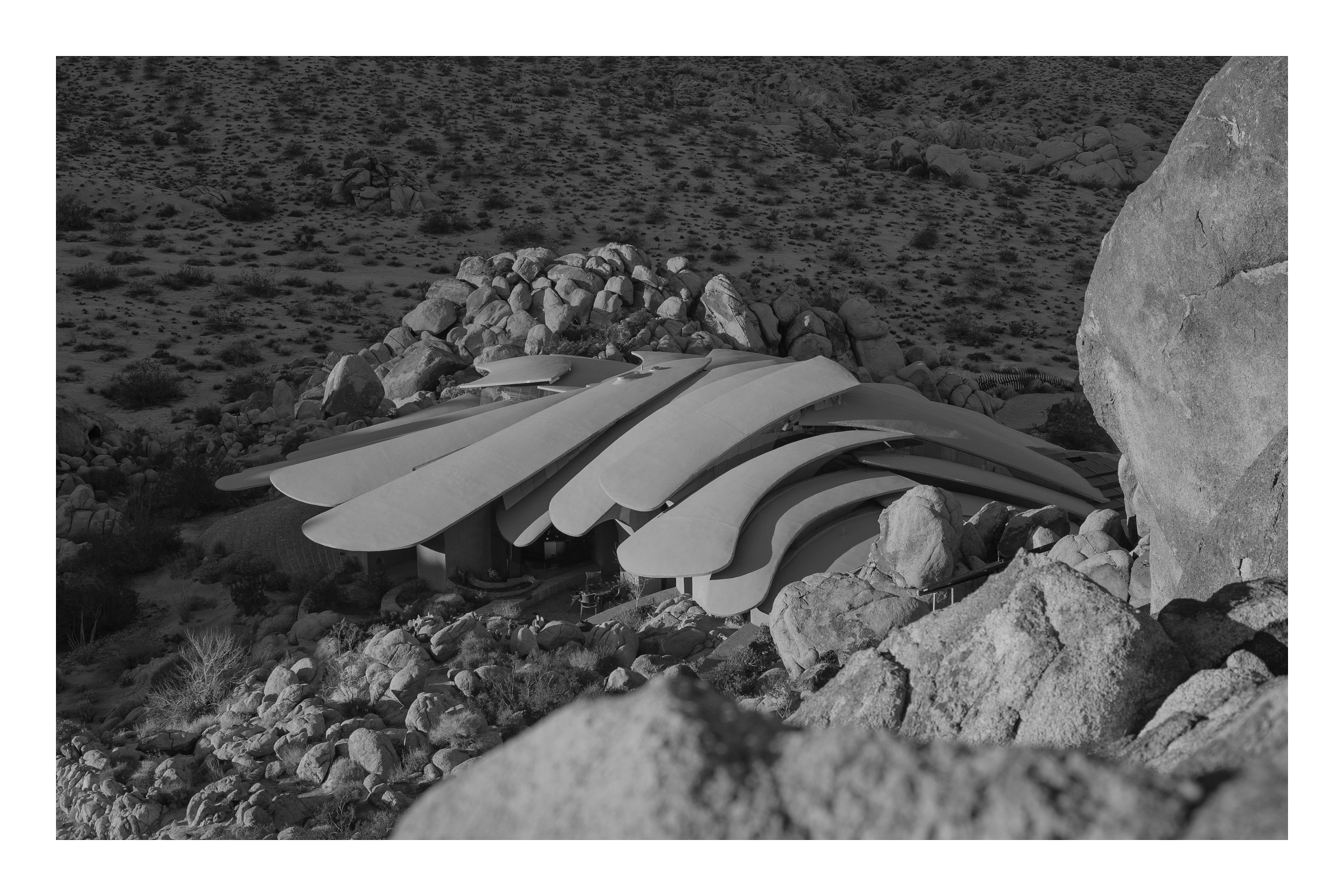 Photograph by Renowned Photographer, Lance Gerber. Morning Light ...