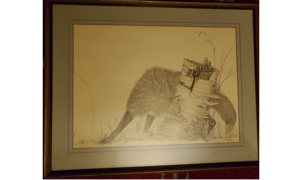Limited Edition Peter Parnall Fox print