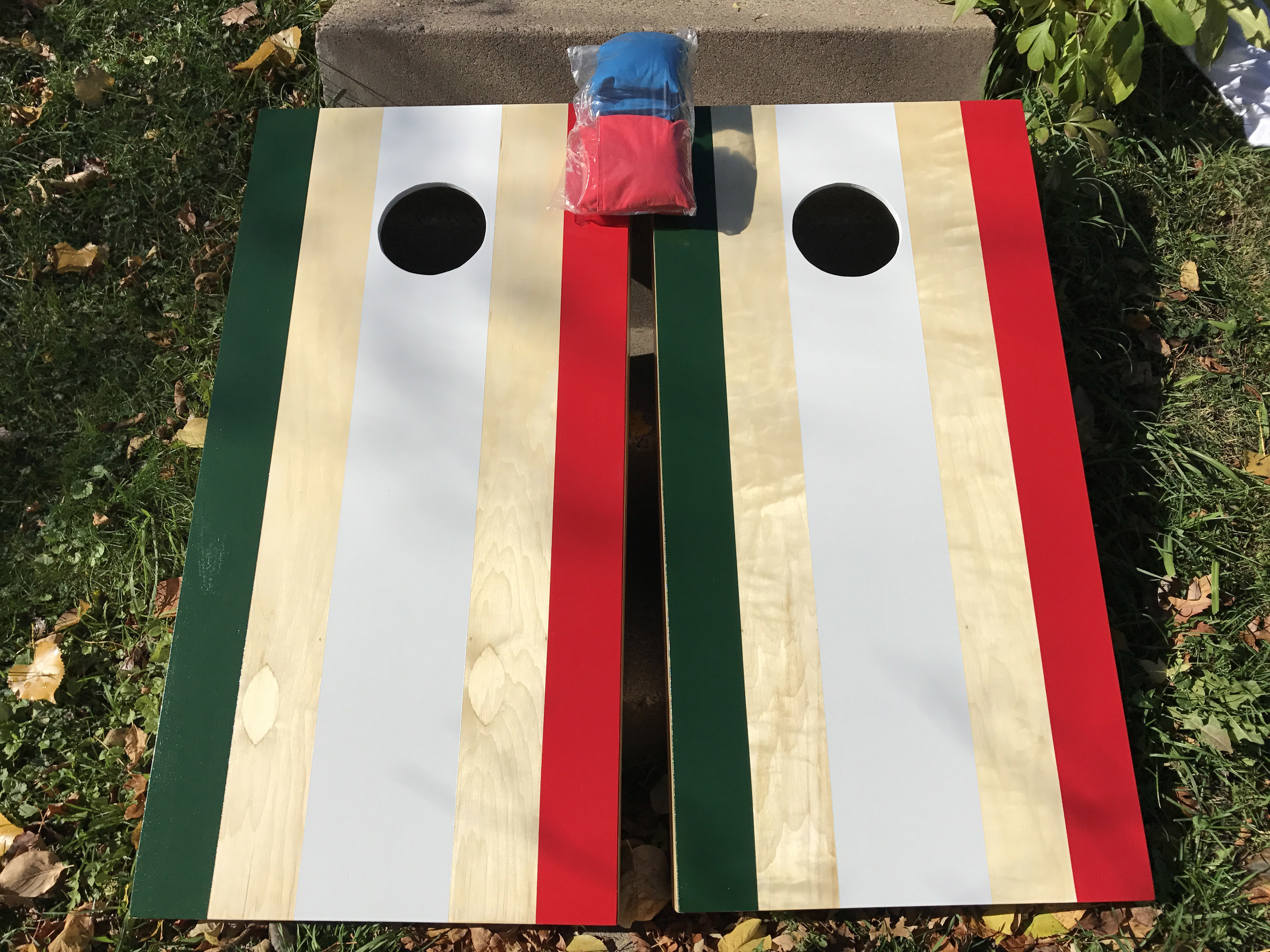 Bean Bag Toss Game