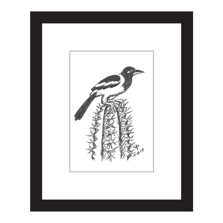Framed Print: Turpial & Cactus