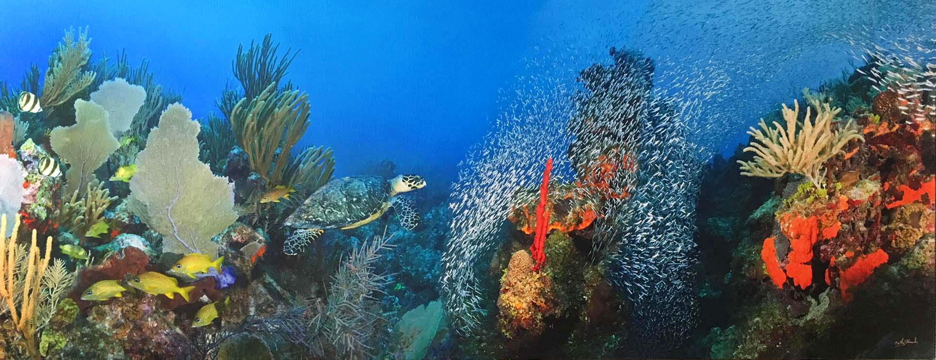 Cathy Church Fine Art - Limited Series Color Print