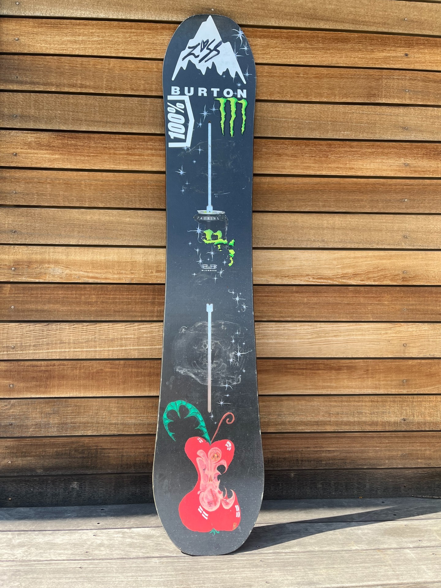 Zoi Sadowski Synnott's Olympic & X-Games Gold Medal Winning Snowboard