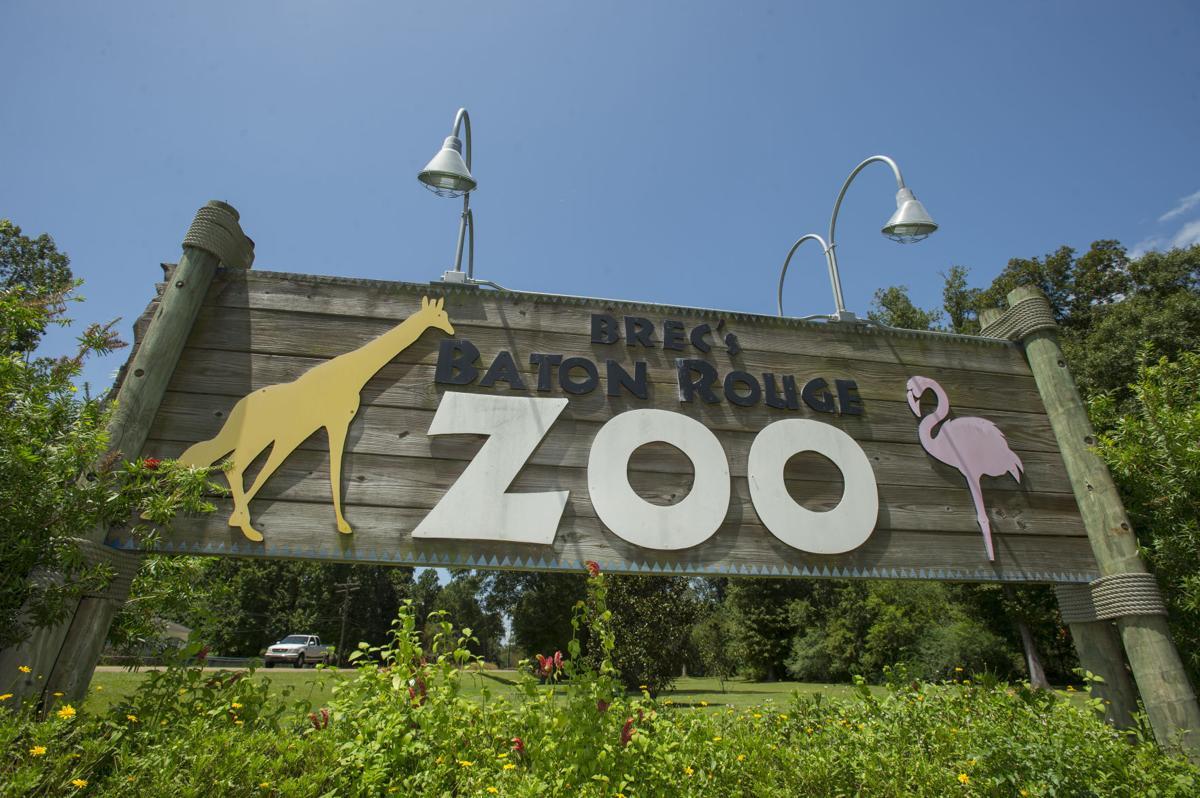 Big Fun in the Red Stick: Baton Rouge Zoo passes and Knock Knock ...