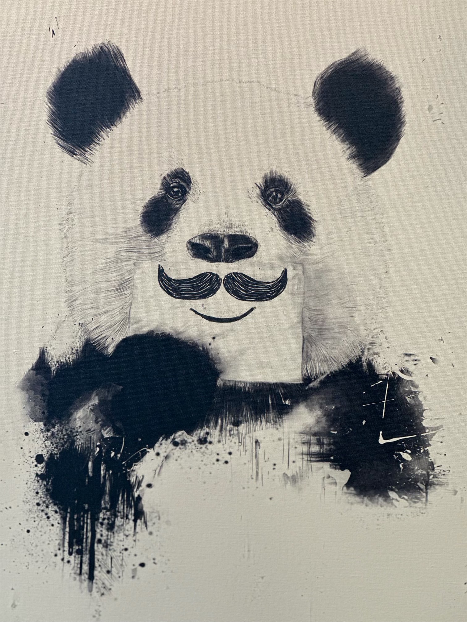19x14 Humorous Black & White Giant Panda Bear Mustache Print by Balazs ...