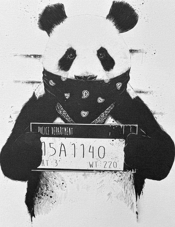 19x14 Bad Panda Print by Balazs Solti
