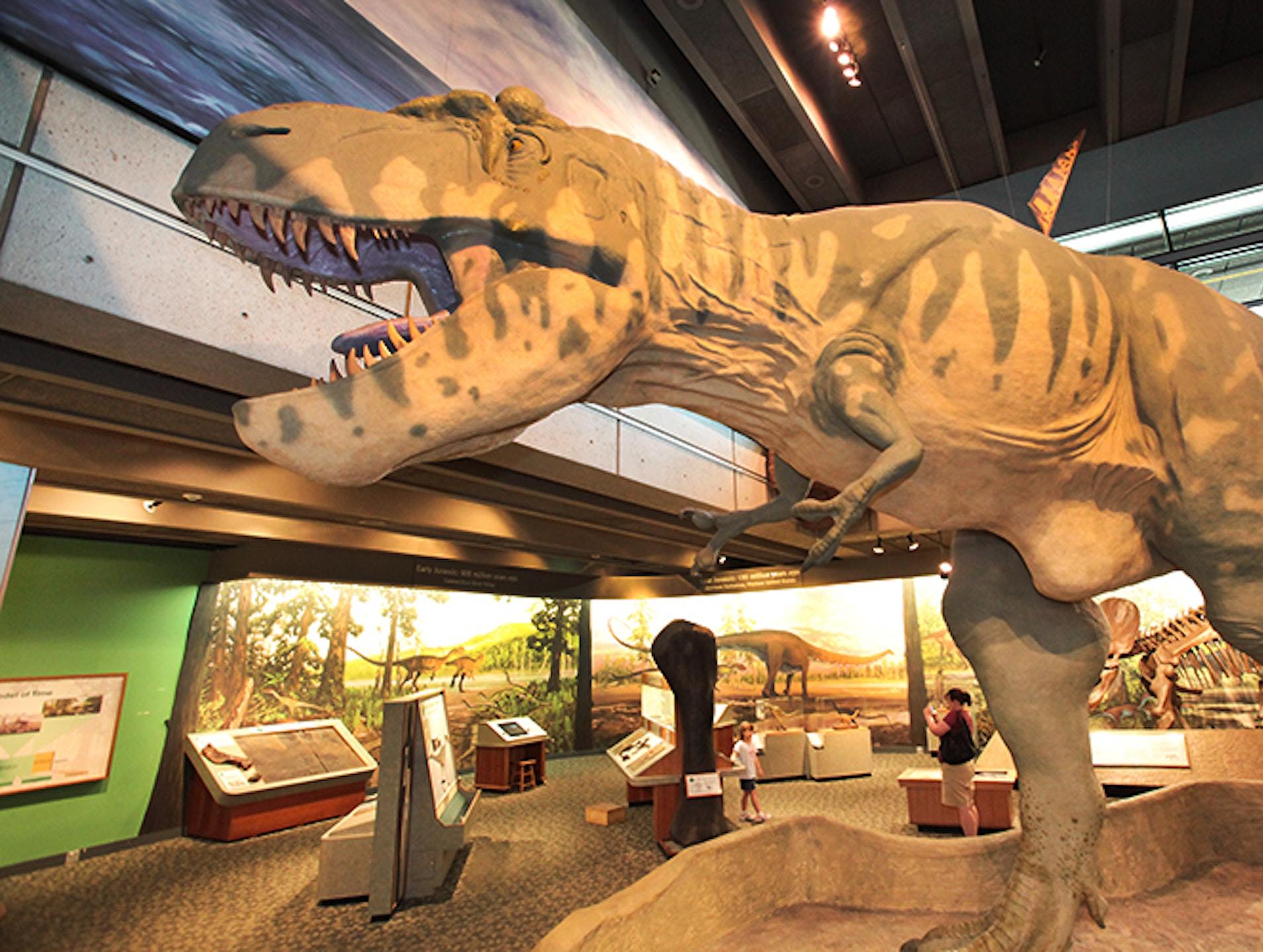 Family Pack of Tickets to Musuem of Science