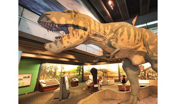 Family Pack of Tickets to Musuem of Science