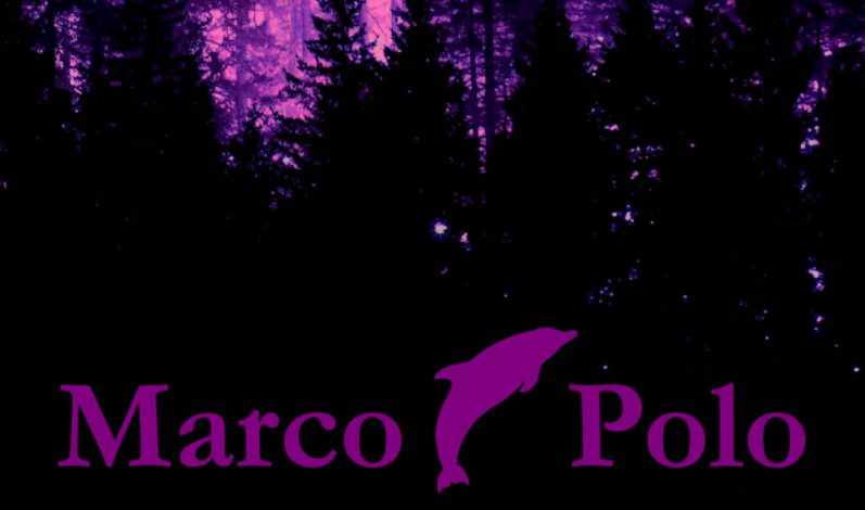 Marco Polo Paint Meme Auction